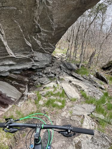 Best Hikes and Trails in Emerald Outback Trail System | AllTrails