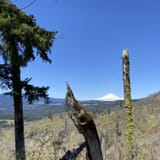 Weldon Wagon Road Trail, Washington - 475 Reviews, Map | AllTrails