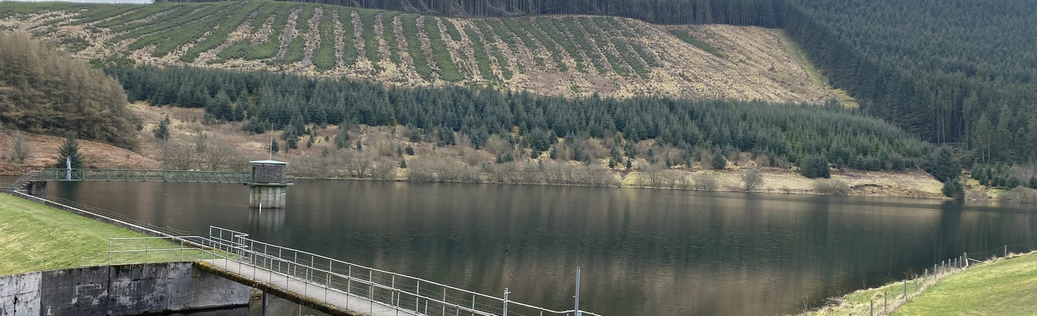 Glensherup Reservoir and Ben Shee Circular: 10 Reviews, Map ...