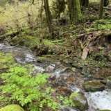 Elk Ridge, Hermit, Sherwood, Washington - 276 Reviews, Map | AllTrails