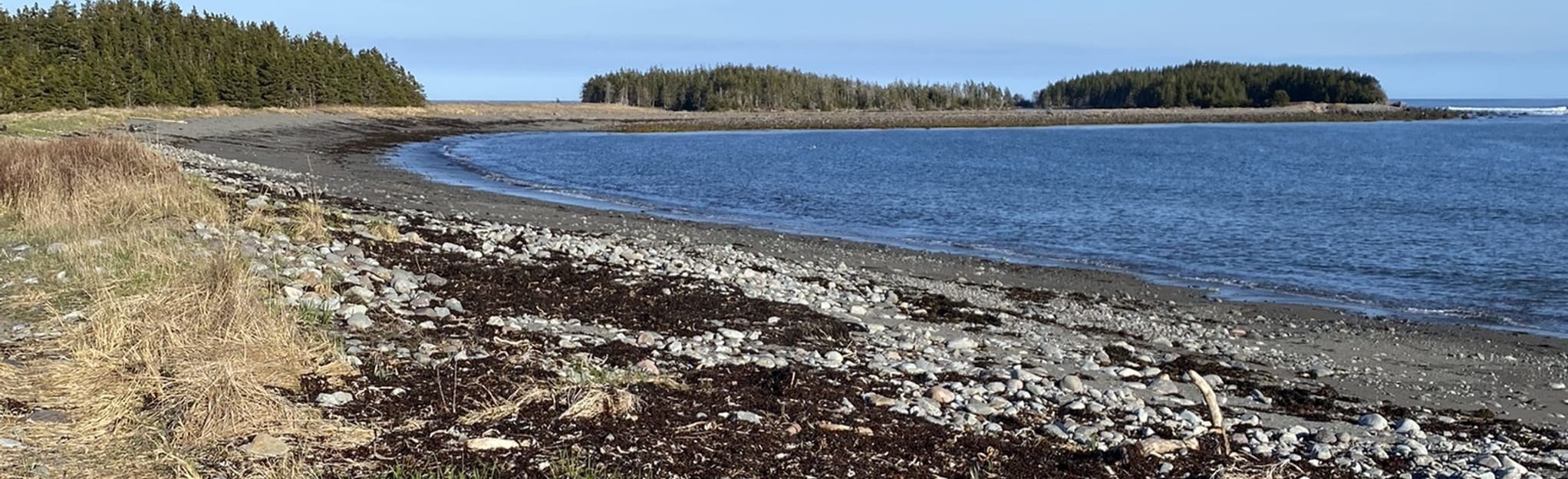 Petit Nez Beach: 1 Reviews, Map - Nova Scotia, Canada | AllTrails