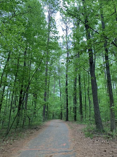 Best Hikes and Trails in Deep Run Park | AllTrails