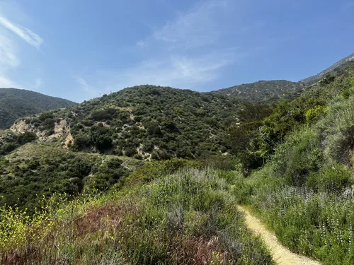 10 Best Trails and Hikes in Altadena | AllTrails