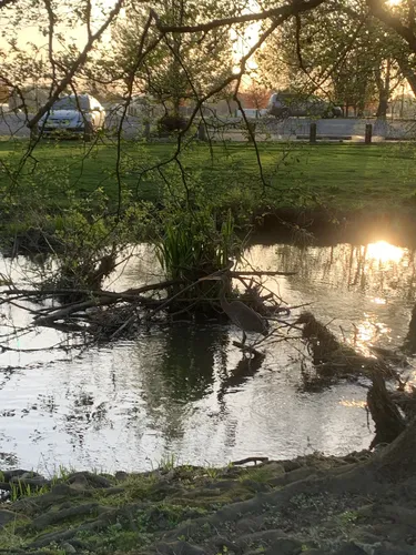 Best Hikes and Trails in Timber Linn Memorial Park | AllTrails