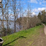Minto-Brown Island Park, Oregon - 845 Reviews, Map | AllTrails