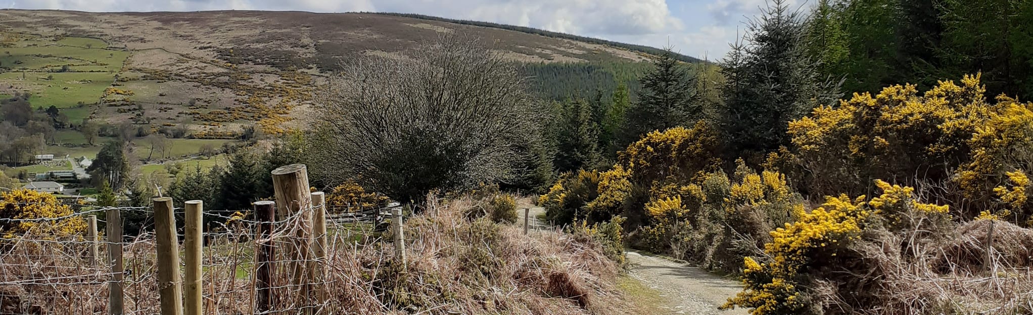 Brockagh Mountain, County Wicklow, Ireland - 155 Reviews, Map | AllTrails