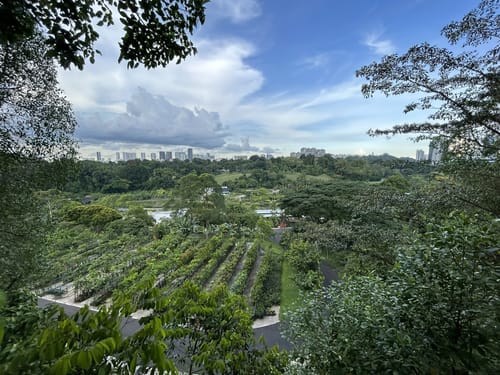 Best Hikes and Trails in Kent Ridge Park | AllTrails