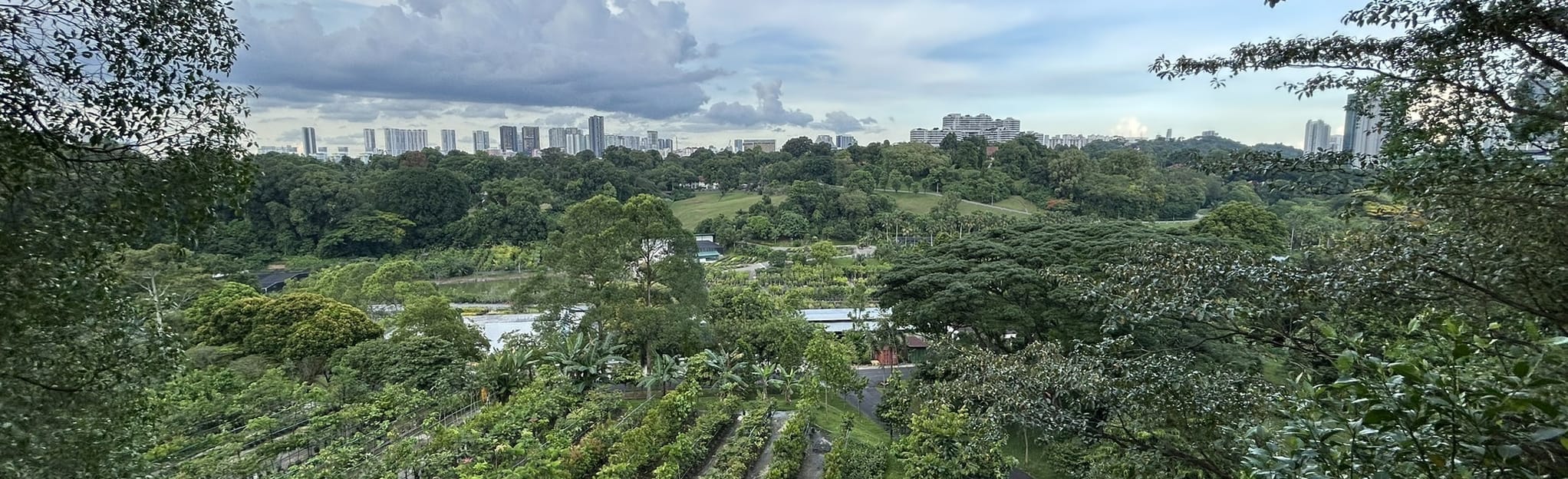 Southern Ridges Trail: 1.072 foto - Central Region, Singapore | AllTrails