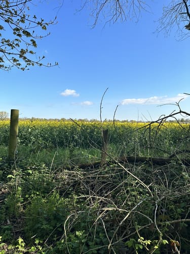 Best Hikes and Trails in Culcheth Linear Park | AllTrails