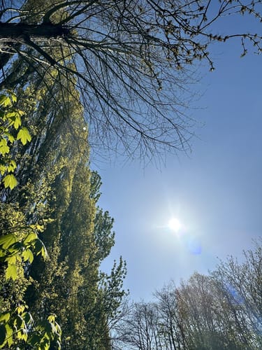 Best Hikes and Trails in Culcheth Linear Park | AllTrails