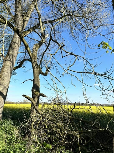 Best Hikes and Trails in Culcheth Linear Park | AllTrails