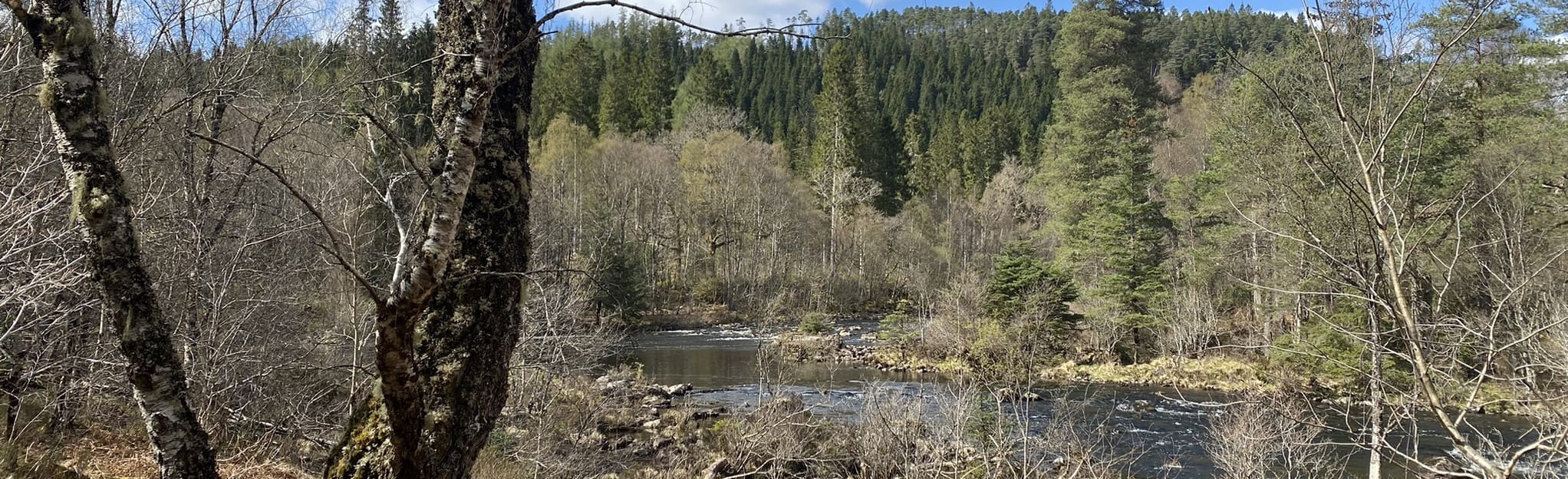 River Garry Circular, Highlands, Scotland - 18 Reviews, Map | AllTrails