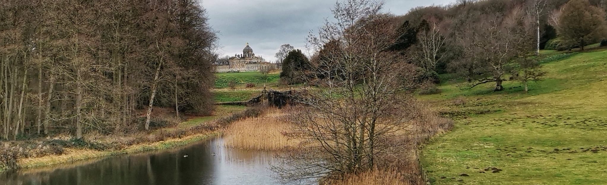 Welburn Woodland - Castle Howard Circular: 338 Fotos - North Yorkshire ...