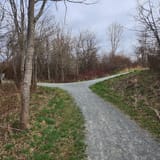 Trigothic Trail, Nova Scotia, Canada - 44 Reviews, Map | AllTrails