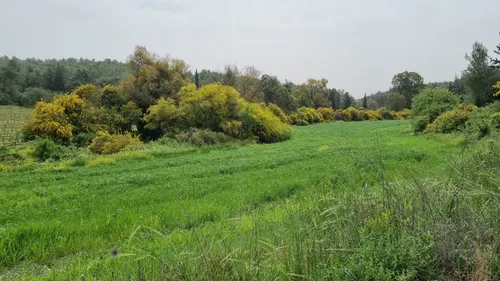 2023 Best Walking Trails in Nahshon | AllTrails