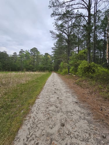 Best Hikes and Trails in Redden State Forest | AllTrails