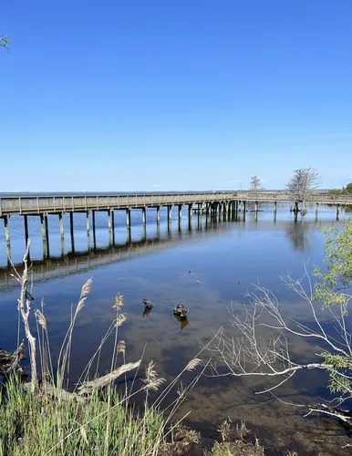 2023 Best City Walk Trails in Duck | AllTrails