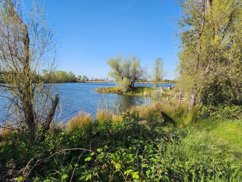 Best Hikes and Trails in Mather Regional Park | AllTrails