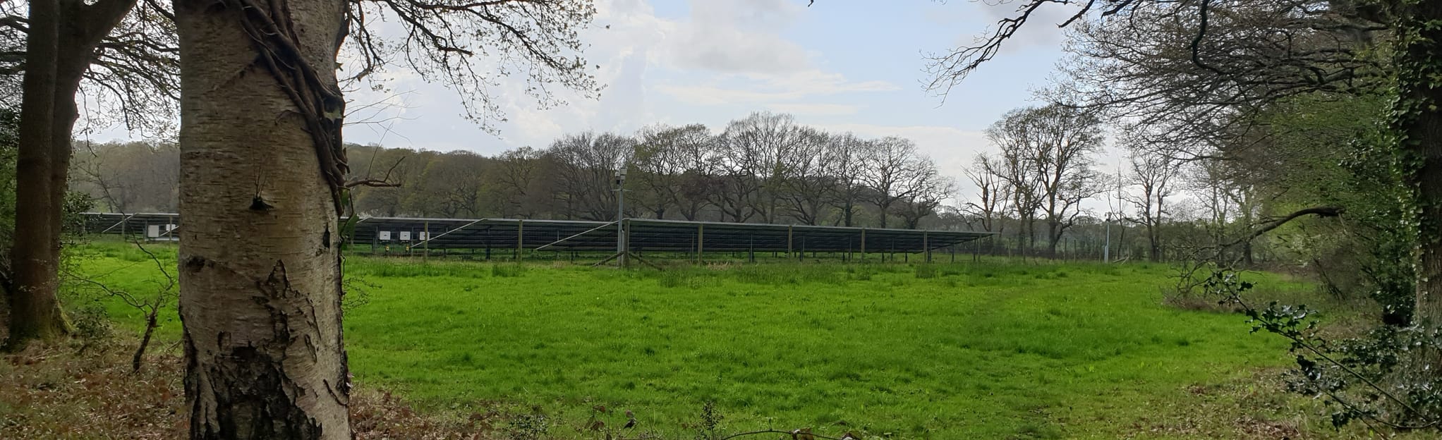 Creech Woods: 147 Reviews, Map - Hampshire, England | AllTrails