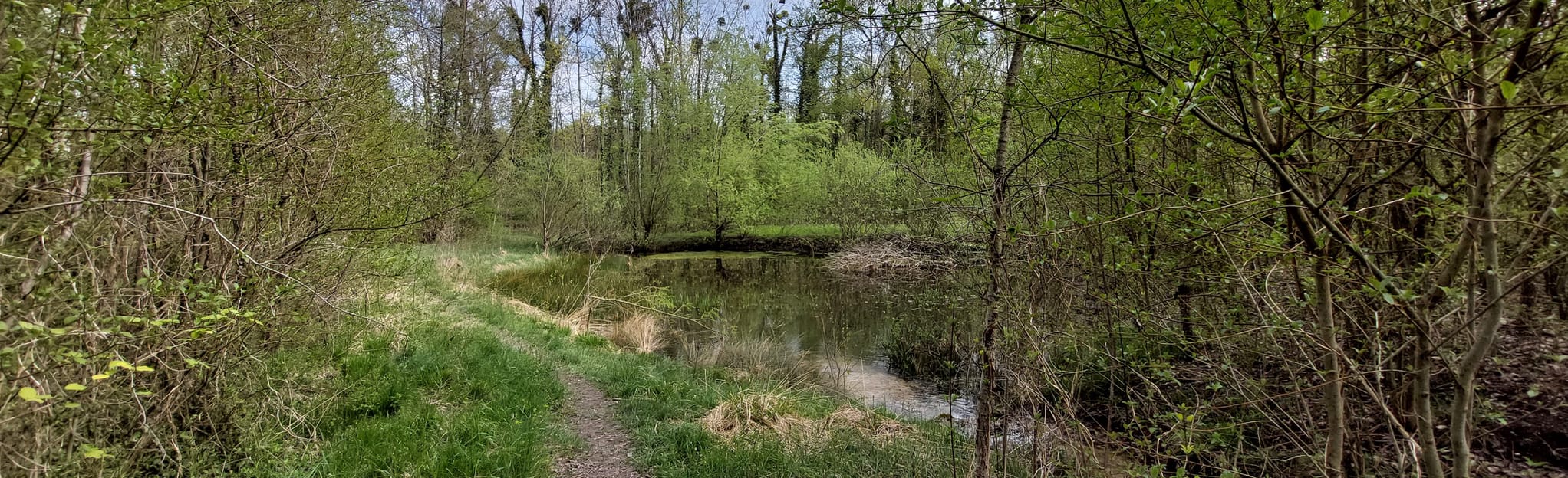 Genolier - Bois de Chêne: 8 Reviews, Map - Vaud, Switzerland | AllTrails