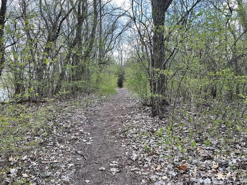 Best Hikes and Trails in Ford Lake Park | AllTrails
