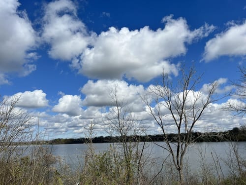 Best Hikes and Trails in Ford Lake Park | AllTrails