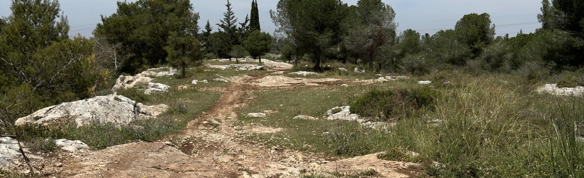 AllTrails | Eastern Neot Kdumim Circuit: 4 Reviews, Map - Central ...
