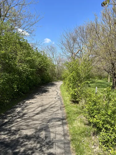 Best Hikes and Trails in Smiley Park | AllTrails