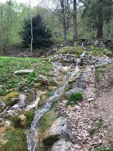 Best Wild Flowers Trails in Réserve naturelle du Val-Suzon | AllTrails