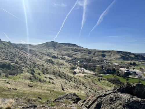 Best Hikes and Trails in Chief Eagle Eye Reserve | AllTrails