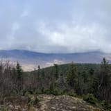 Mount Shaw and Black Snout, New Hampshire - 561 Reviews, Map | AllTrails