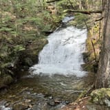 Mount Shaw and Black Snout, New Hampshire - 561 Reviews, Map | AllTrails