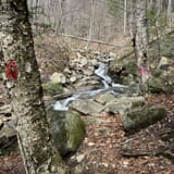 Mount Shaw and Black Snout, New Hampshire - 561 Reviews, Map | AllTrails