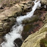 Mount Shaw and Black Snout, New Hampshire - 561 Reviews, Map | AllTrails