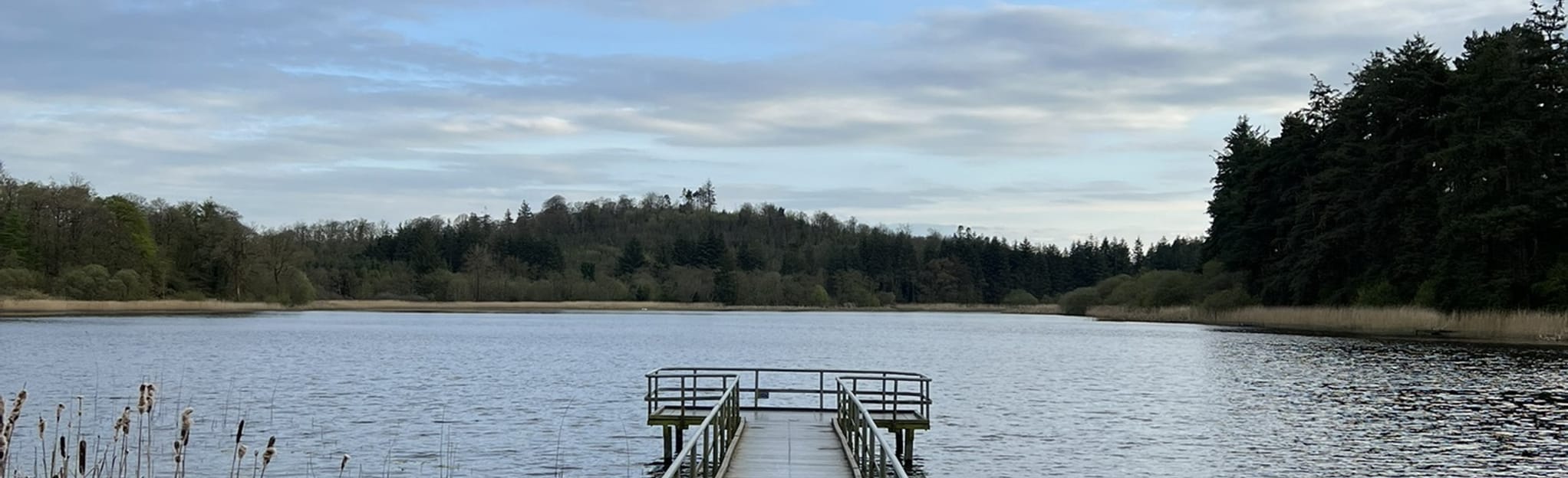Castle Lake Loop: 71 Reviews, Map - County Cavan, Ireland | AllTrails
