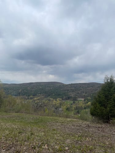 Best Hikes and Trails in Tyringham Cobble | AllTrails