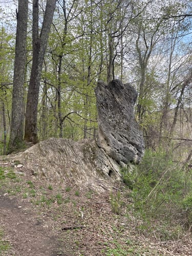 Best Hikes and Trails in Tyringham Cobble | AllTrails