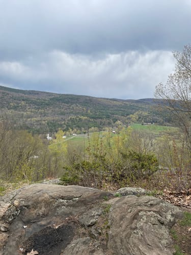 Best Hikes and Trails in Tyringham Cobble | AllTrails