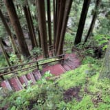 Furnas Lagoon Trail, Azores, Portugal - 229 Reviews, Map | AllTrails