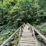 Furnas Lagoon Trail, Azores, Portugal - 229 Reviews, Map | AllTrails