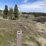 Hog Lake Loop, Washington - 209 Reviews, Map | AllTrails