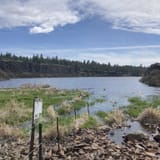 Hog Lake Loop, Washington - 225 Reviews, Map | AllTrails
