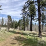 Hog Lake Loop, Washington - 225 Reviews, Map | AllTrails