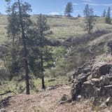 Hog Lake Loop, Washington - 225 Reviews, Map | AllTrails