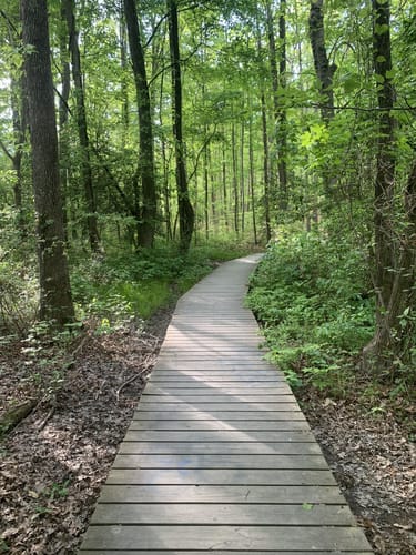 Best Hikes and Trails in Deep Run Park | AllTrails