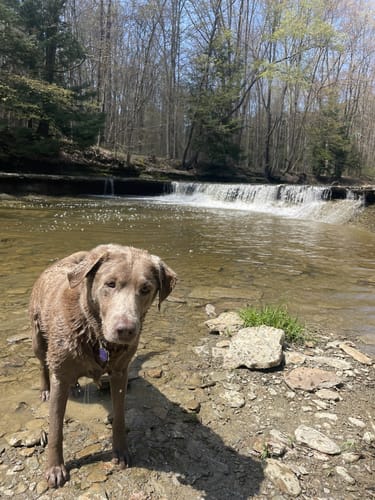 Best Hikes and Trails in Hogback Ridge Metropolitan Park | AllTrails