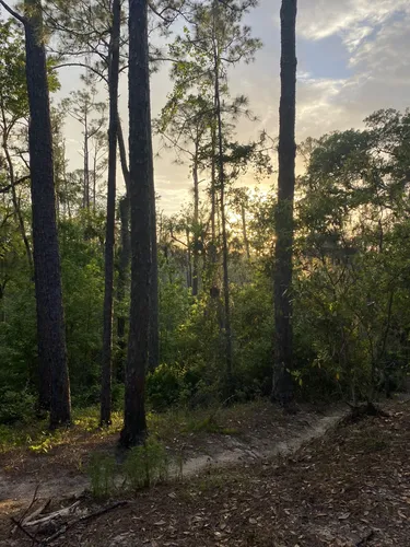 Best Hikes and Trails in Graham Swamp Conservation Area | AllTrails