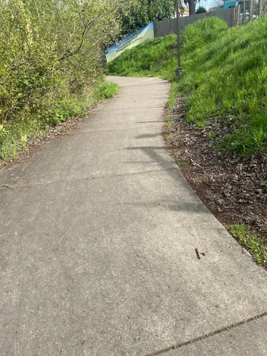 Best Hikes and Trails in Monteith River Park | AllTrails