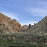 Timber Gulch, Oregon - 61 Reviews, Map | AllTrails