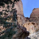 Timber Gulch, Oregon - 61 Reviews, Map | AllTrails